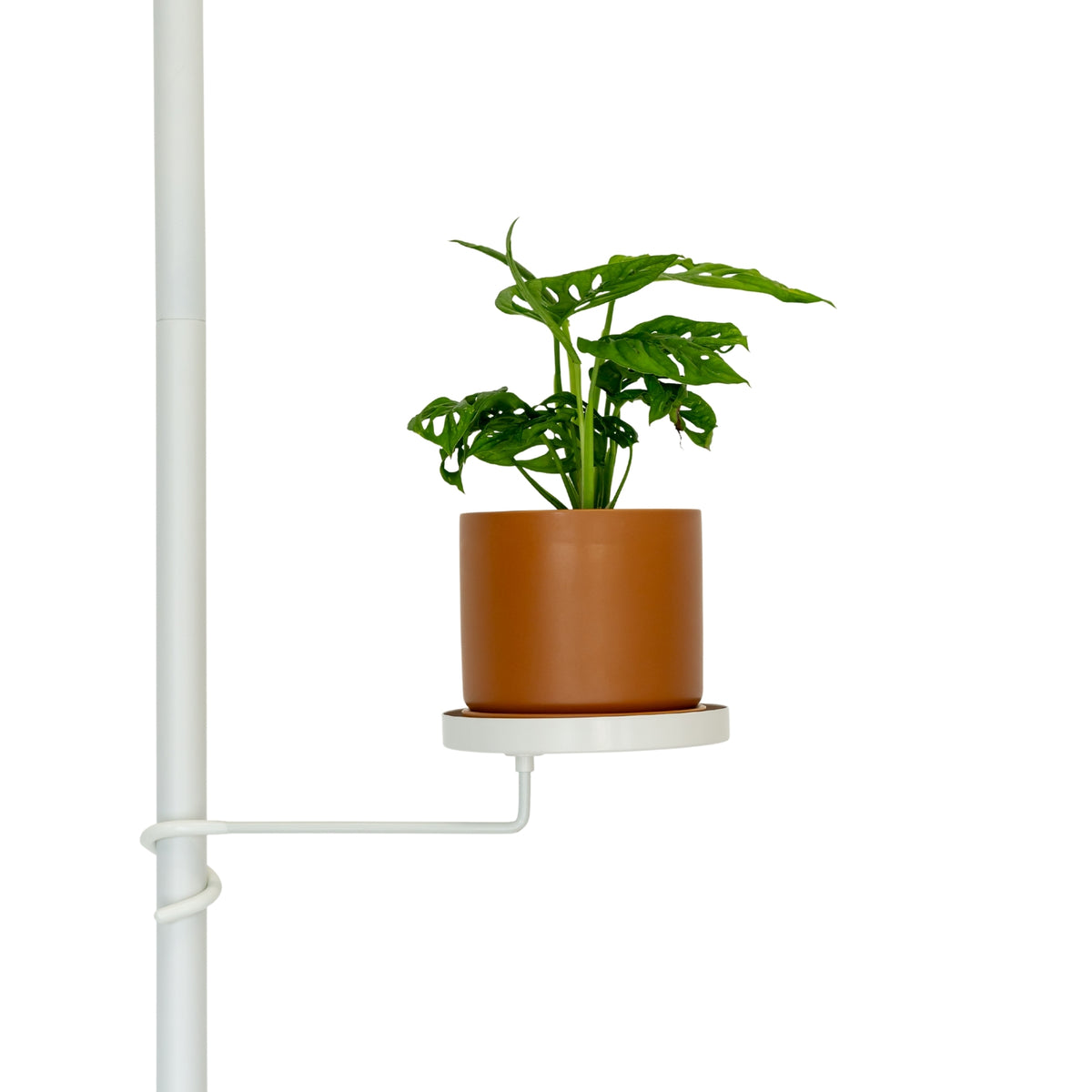 Tension Plant Pole With Trays - White – Urban Greenhouse