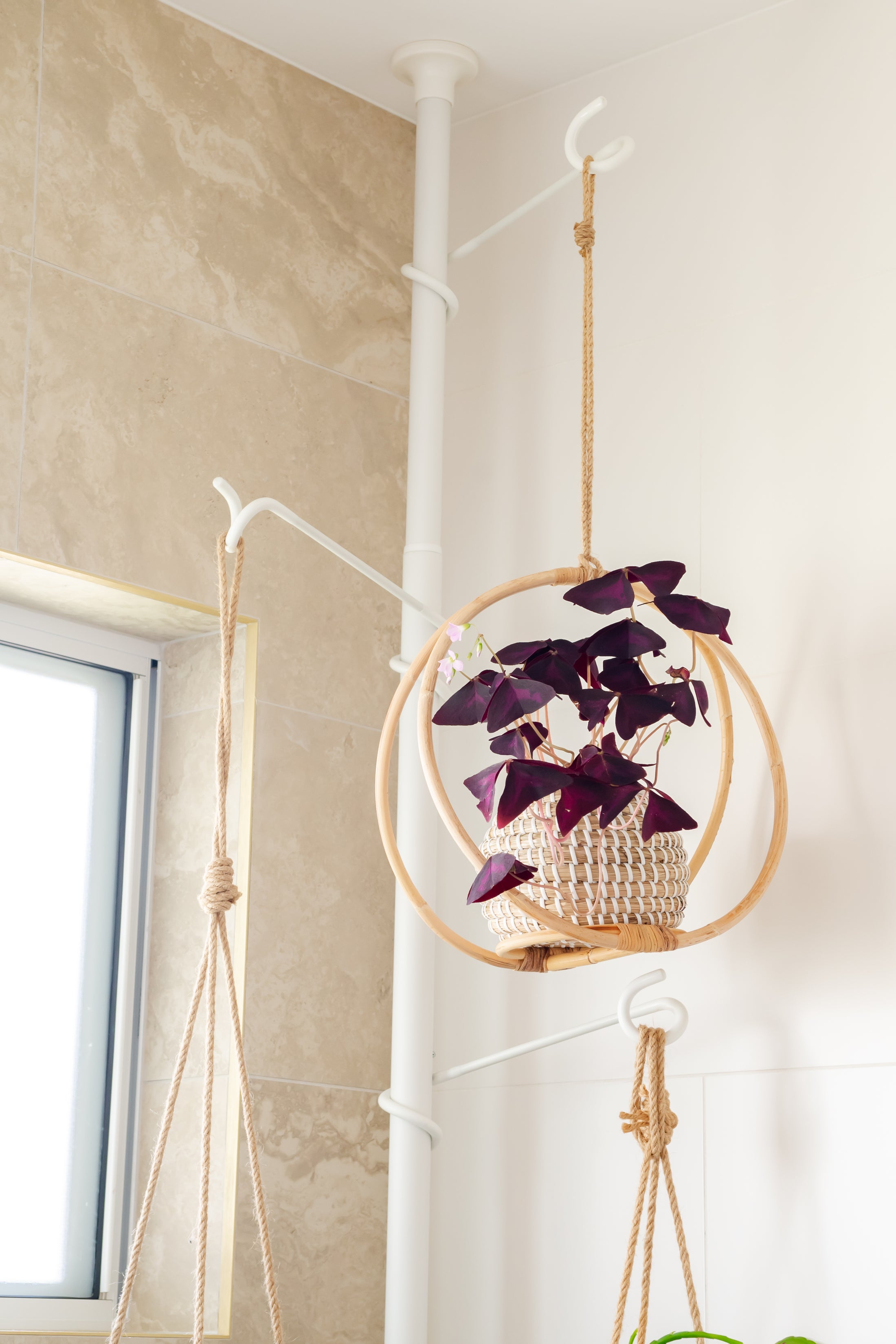 Tension Plant Pole With Hooks - White – Urban Greenhouse