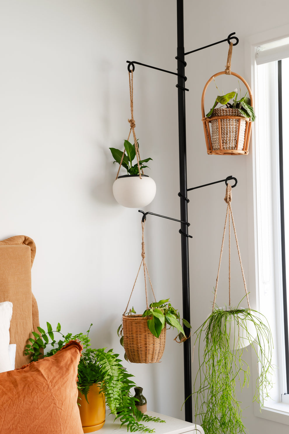 Tension Plant Hanging Pole - Black – Urban Greenhouse