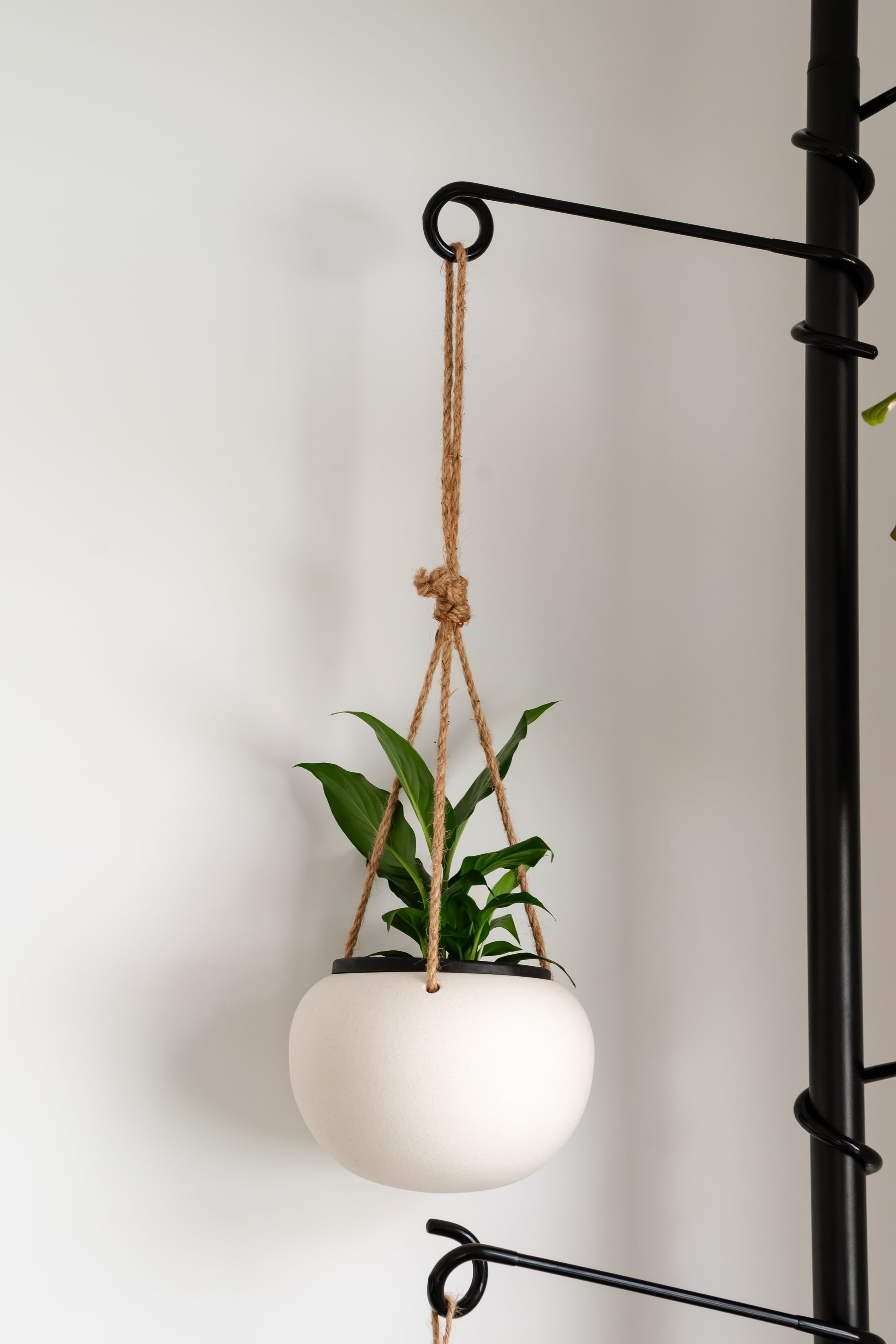 Tension Plant Pole With Hooks - Black – Urban Greenhouse
