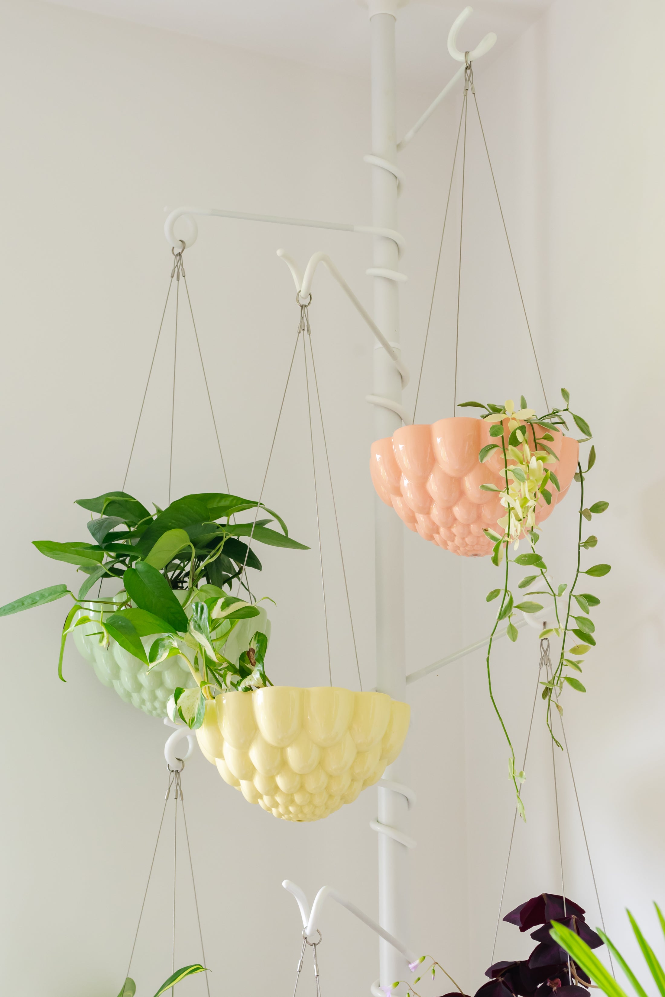 Tension Plant Pole With Hooks - White – Urban Greenhouse