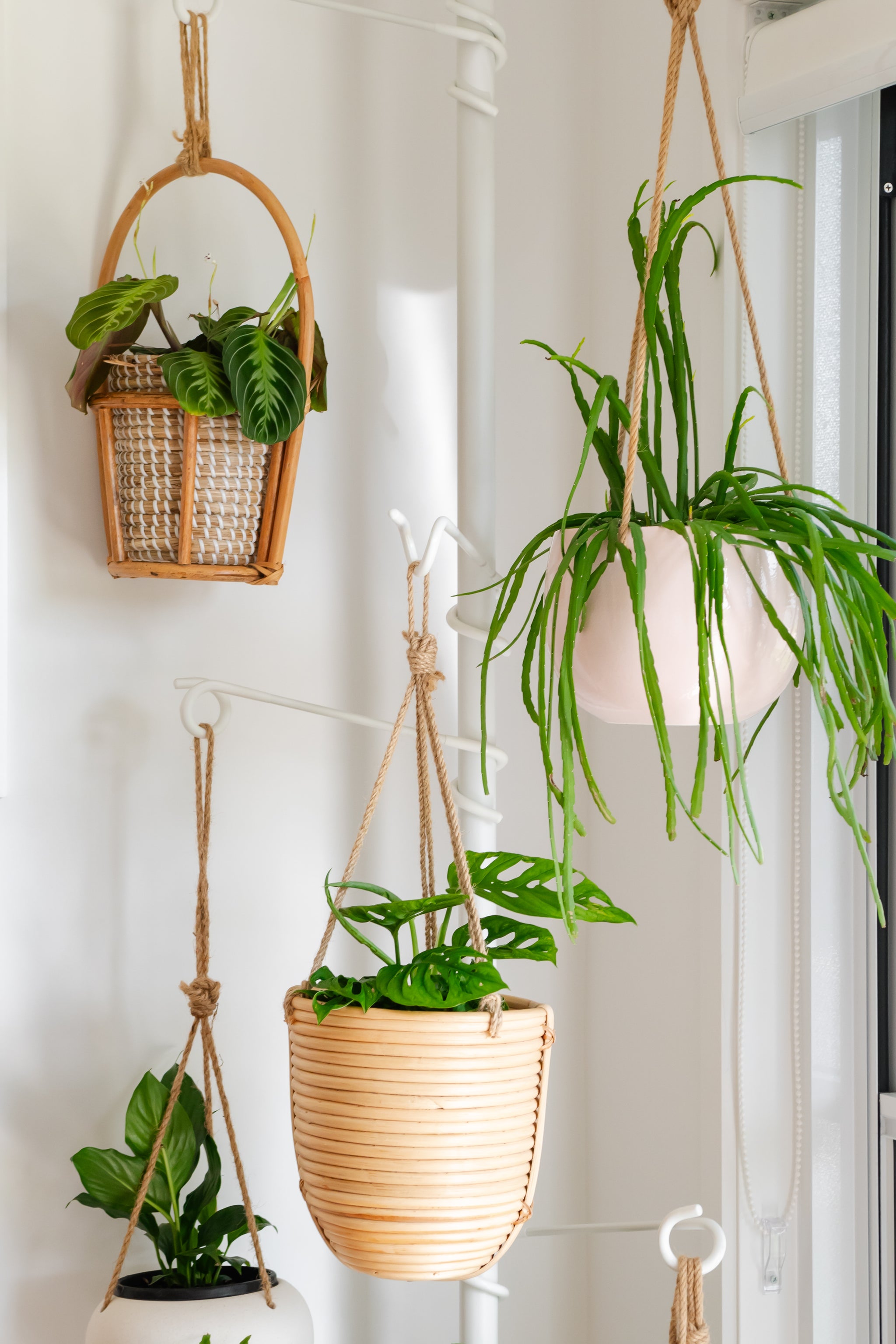 Tension Plant Pole With Hooks - White – Urban Greenhouse