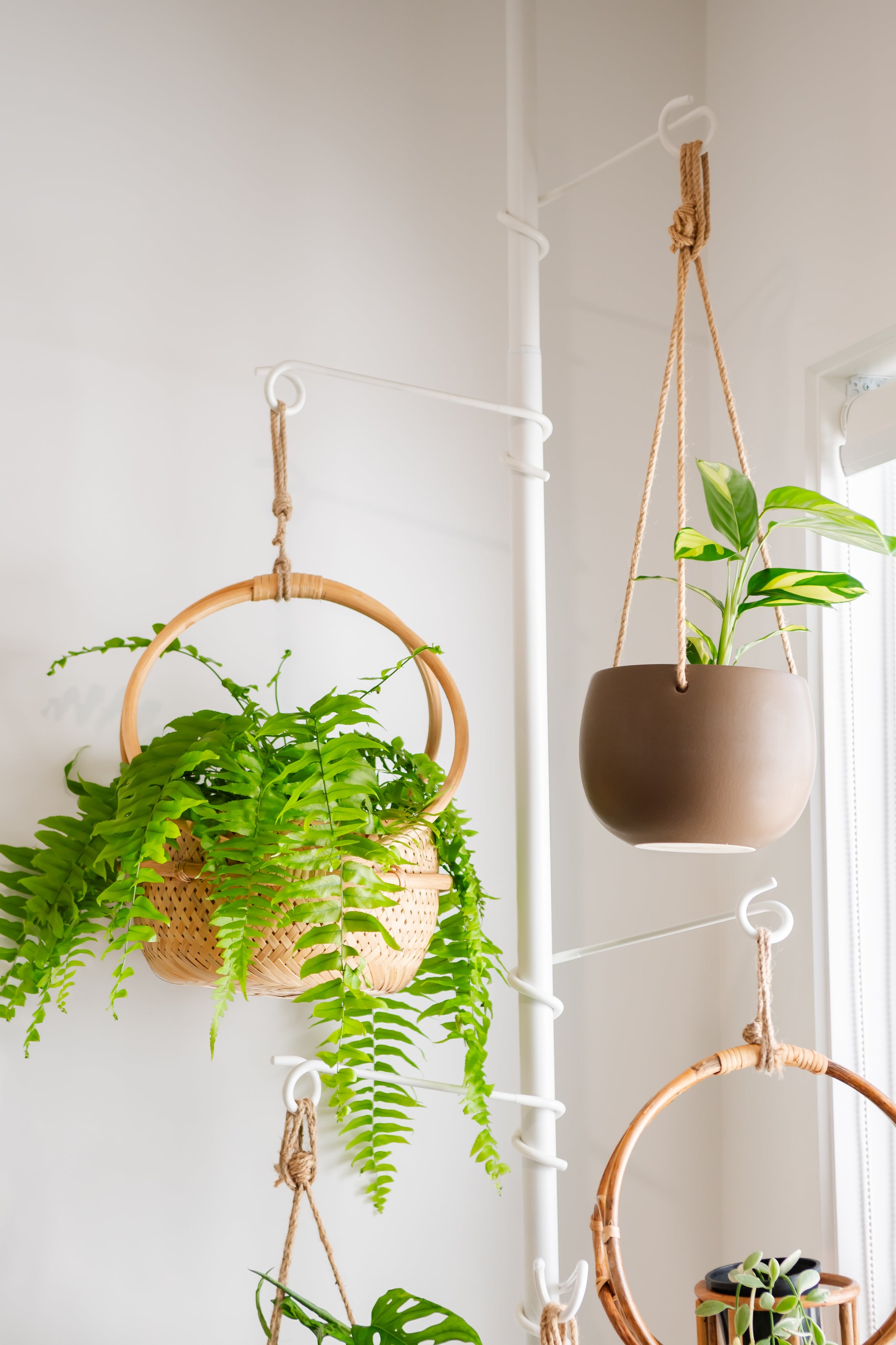 Tension Plant Pole With Hooks - White – Urban Greenhouse