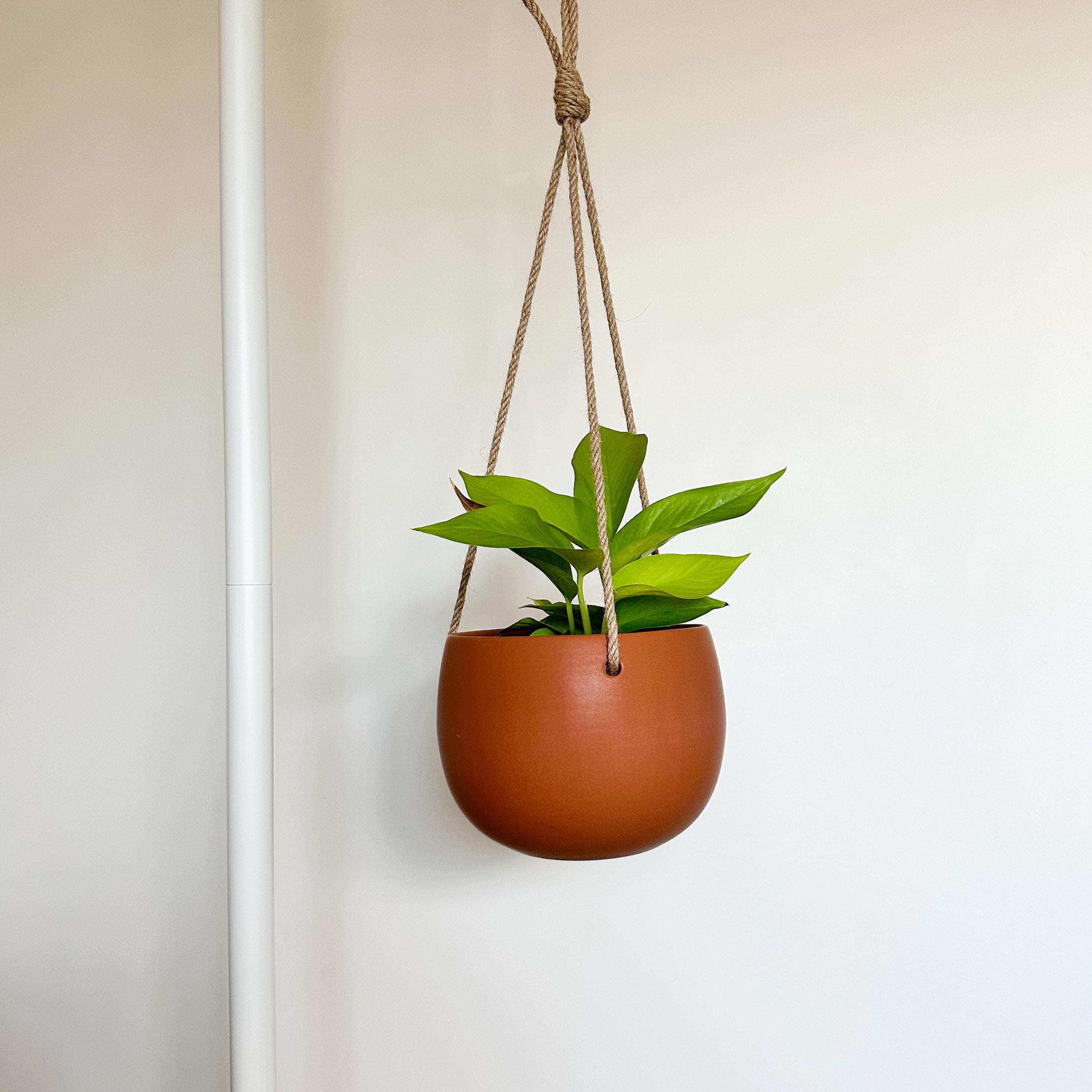 Lolly Ceramic Hanging Planter - Toffee – Urban Greenhouse