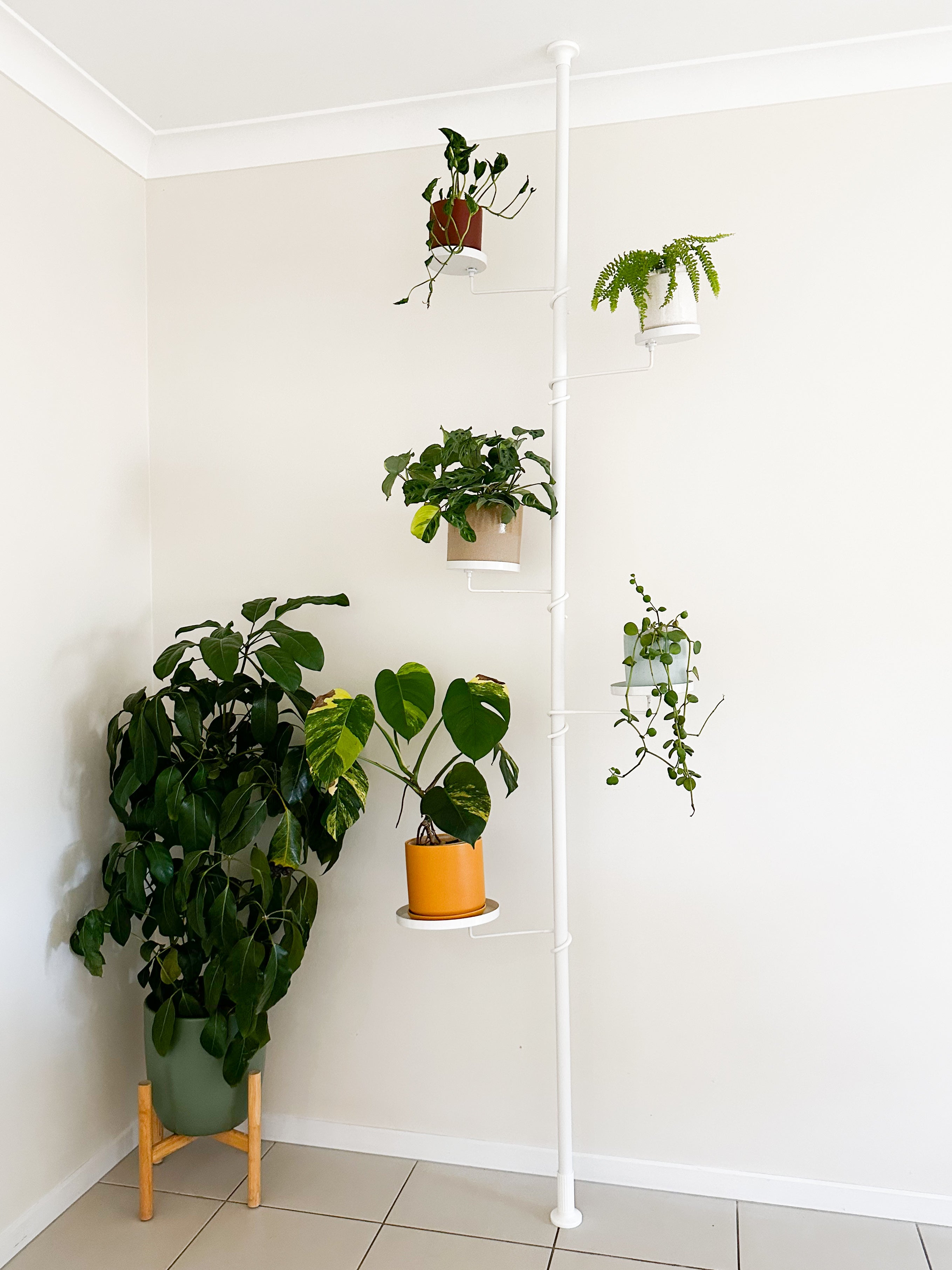 Tension Plant Poles – Urban Greenhouse