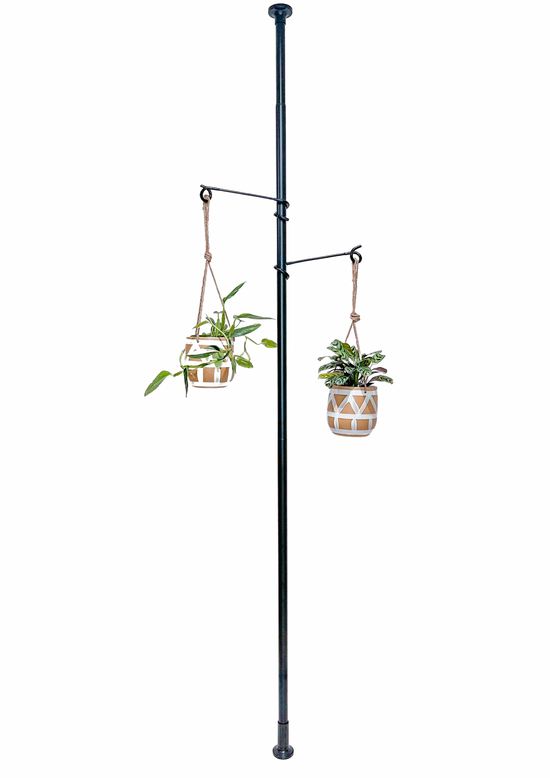 Tension Plant Hanging Pole - Black – Urban Greenhouse