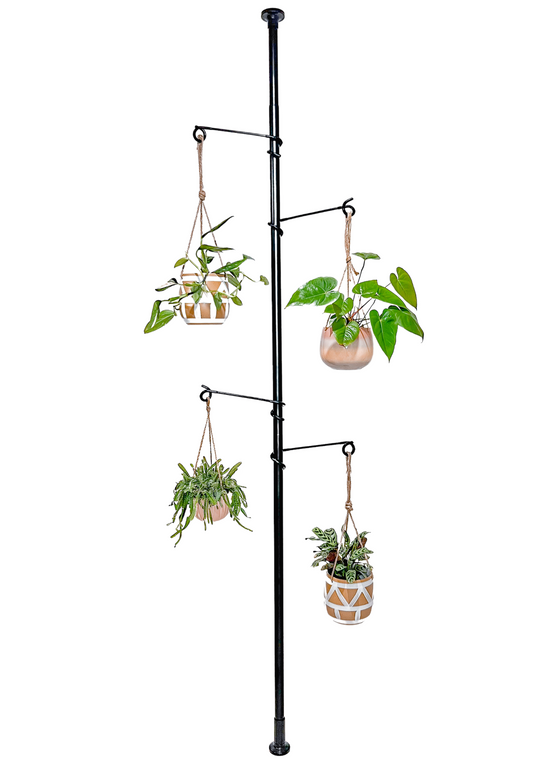 Tension Plant Hanging Pole - Black – Urban Greenhouse
