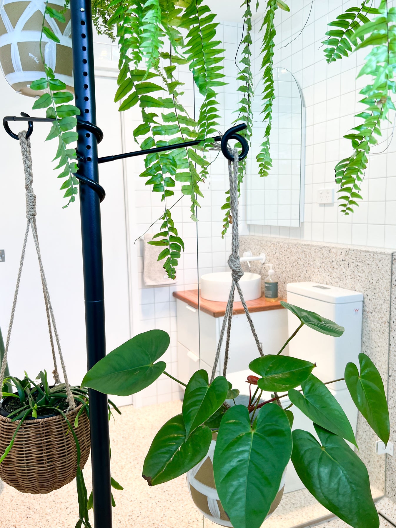 Tension Plant Hanging Pole - Black – Urban Greenhouse