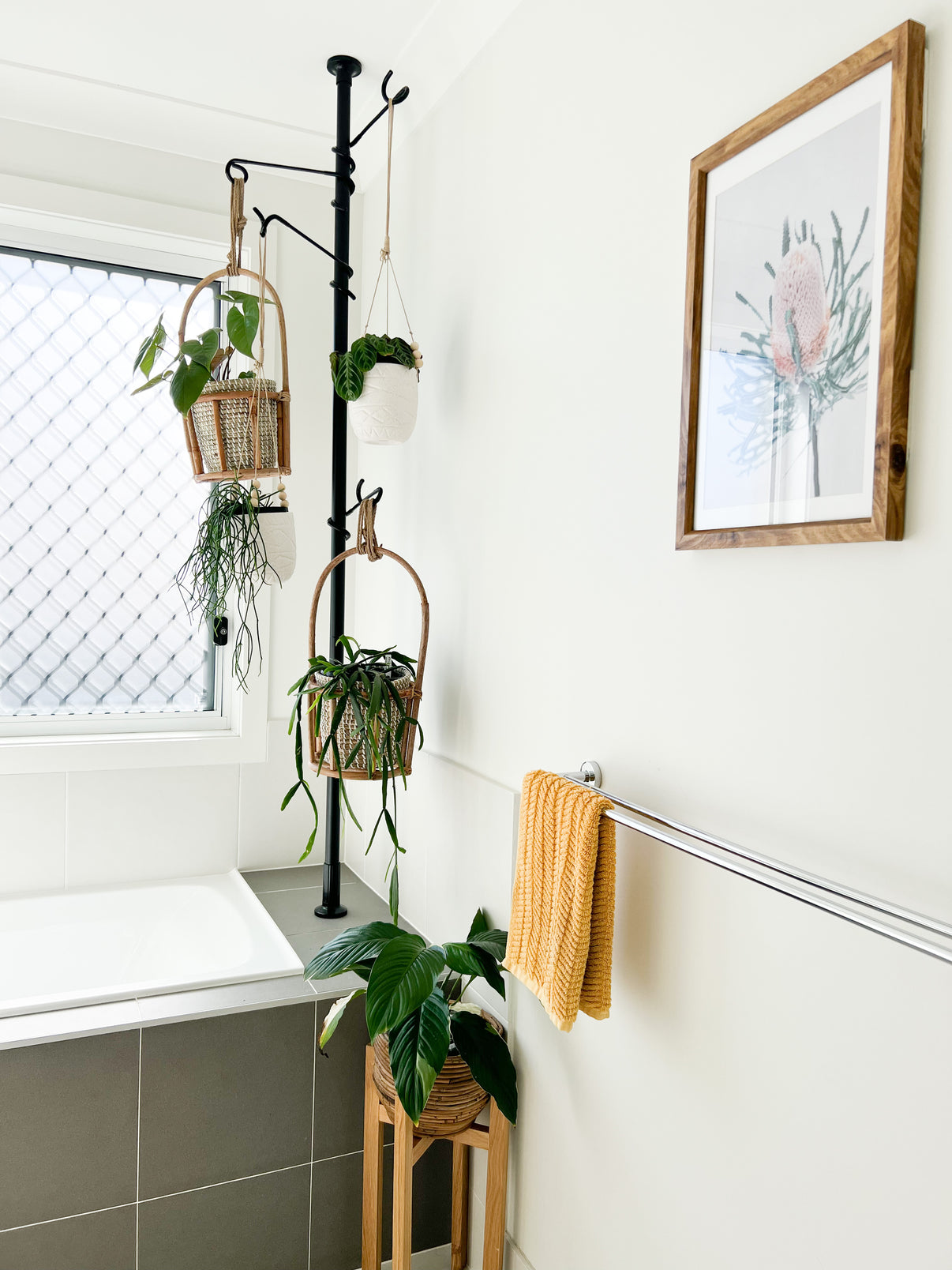 Tension Plant Pole Extension - Black – Urban Greenhouse